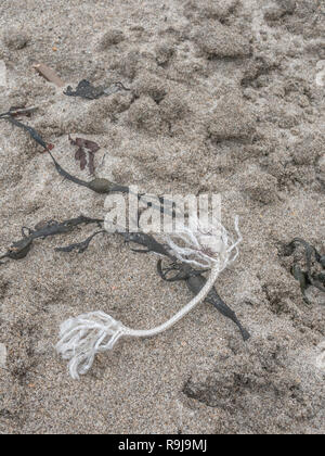Polyester plastic rope / twine washed up on shore & polluting the ...