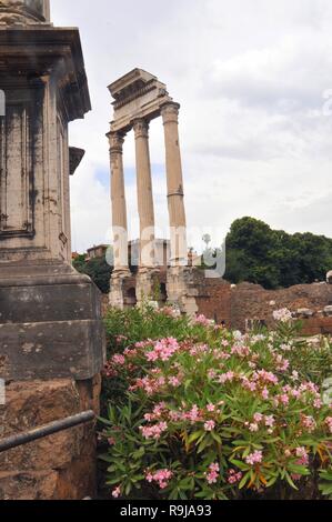 Ancient Rome. House of Vestals, Temple of Romulus, Basilica of ...
