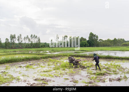 plows machine - Farmer using walking tractor plowing in rice field to ...