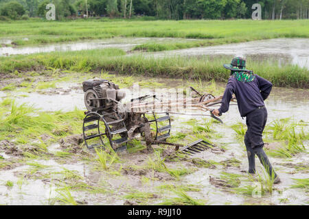 Farmer Using a Small Tractor to Plow Rice Fields Bali Indonesia Stock ...