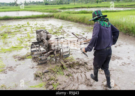 Farmer Using a Small Tractor to Plow Rice Fields Bali Indonesia Stock ...