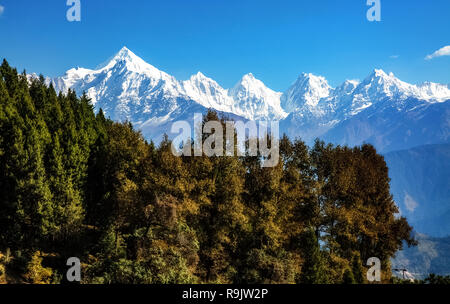 Himalaya peaks of Panchchuli with pine trees and scenic landscape view at Munsiyari Uttarakhand ...