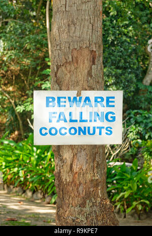 Danger sign warning of risk of falling trees, with DANGER highlighted ...