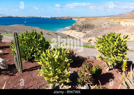 Typical Tiny Canarian House With Cactus Garden On Papagayo Beach On The
