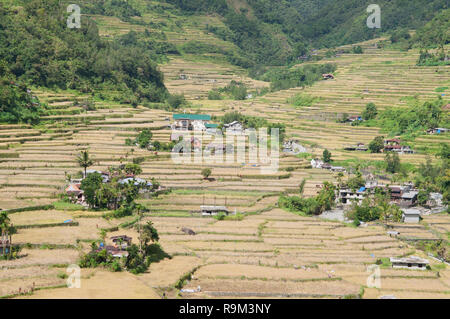 Hapao Rice Terraces, Hungduan, Ifugao Province, Cordillera Region ...