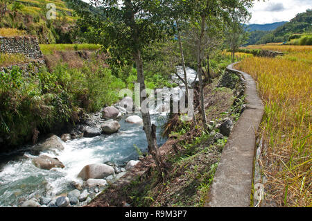 Hapao Rice Terraces, Hungduan, Ifugao Province, Cordillera Region ...
