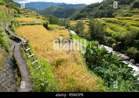 Hapao Rice Terraces, Hungduan, Ifugao Province, Cordillera Region ...