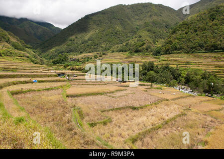Hapao Rice Terraces, Hungduan, Ifugao Province, Cordillera Region ...