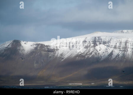 Isle of Videy seen from Reykjavik Stock Photo - Alamy