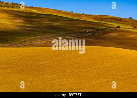Italy Basilicata Landscape From Irsina to Vaglio Stock Photo - Alamy