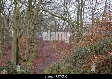 Chellow Dene, Bradford, Yorkshire, England Stock Photo - Alamy
