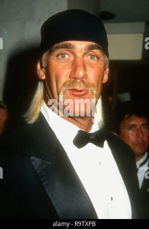 Hulk Hogan (aka Terry Bollea), circa early 1990s Stock Photo - Alamy