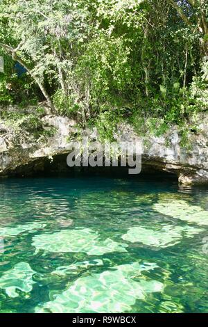 A natural open cenote in Mexico from an underground spring Stock Photo ...