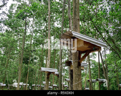 Bee hives in forest nature background. Yellow and blue color wooden ...