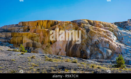 Cleopatra Terrace, Mammoth hot springs, Yellowstone Park Stock Photo ...