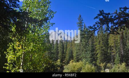 Grizzly Gulch Colorado Stock Photo - Alamy