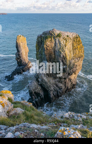 Aerial views over Stack Rocks, Castlemartin, Pembrokeshire, Wales Stock ...