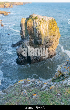 Aerial views over Stack Rocks, Castlemartin, Pembrokeshire, Wales Stock ...