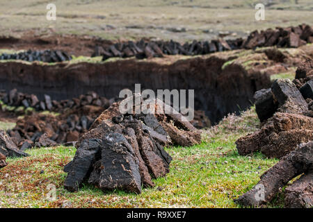 Scottish traditional peat cutting for fuel & drying in the highlands ...