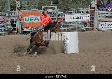 Barrel Racing, Calgary Stampede, Alberta, Canada Stock Photo - Alamy