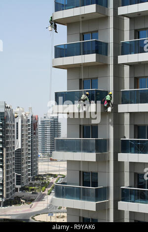 High-rise workers wearing seat belts wash the windows of a high-rise ...