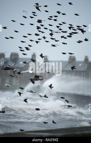 Troon experiences a yellow Met weather warning for high winds and rain ...