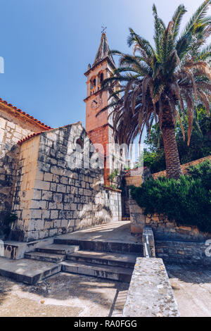 Palm tree against sunny blue sky with clouds Stock Photo - Alamy