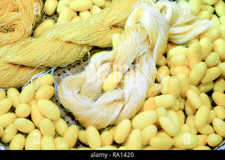 Silk worm nest is made from butterfly worm Stock Photo - Alamy