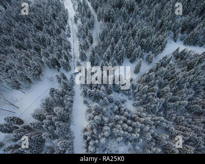 Aerial view of idyllic winter landscape with frozen trees in ...