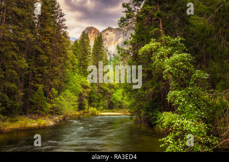 Yosemite's Merced River Stock Photo - Alamy