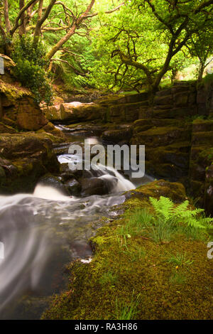 The River Avon in Dartmoor National Park near Didworthly, Devon ...