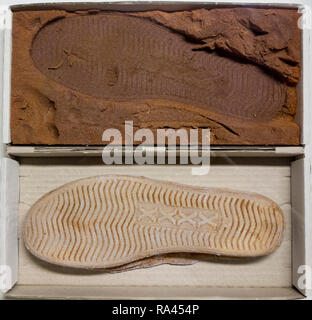 Shoe print at crime scene with forensic marker Stock Photo - Alamy
