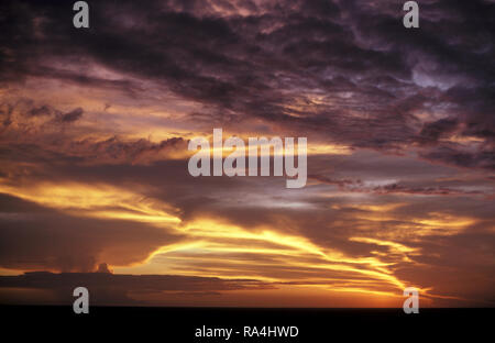 Cattle station, Queensland Australia Stock Photo - Alamy