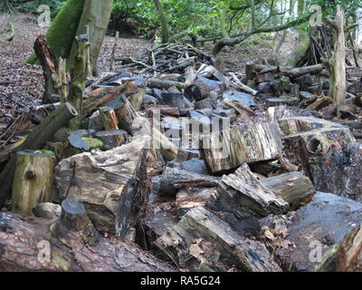 Log pile wildlife habitat in valley fen reserve, Roydon Fen, Roydon ...