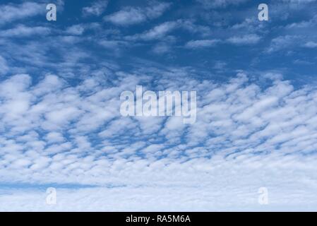Large altocumulus clouds, Germany Stock Photo - Alamy