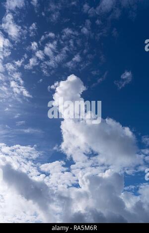 Cloud Tower (Cumulus Congestus), Germany Stock Photo - Alamy