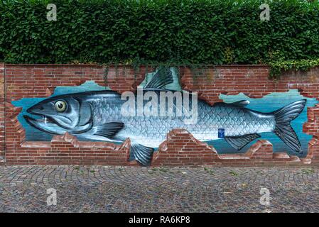 Graffiti of Fish on Wall Stock Photo - Alamy