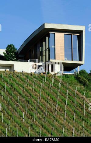 Winery Henri Ruppert on Markusberg near Remerschen, constructed by ...