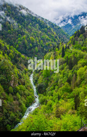 Zilkale or Zil castle natural mountain landscape in Trabzon Stock Photo ...