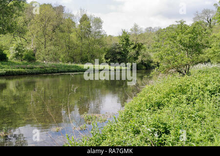 The River Lathkill, Lathkill Dale National Nature Reserve, Peak ...