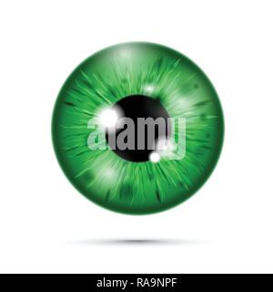 Realistic human eyeball. eye object. Vector illustration Stock Vector ...