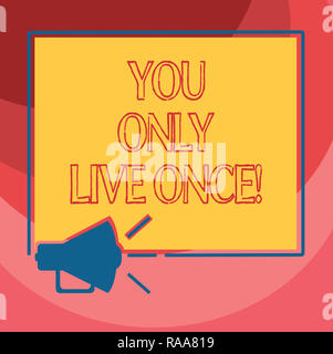 Inspiration showing sign Carpe Diem. Concept meaning public festival ...