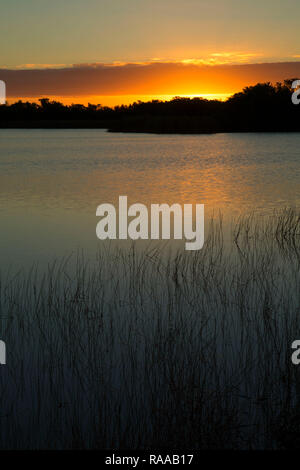 Sunrise on Nine Mile Pond in Everglades National Park, Florida Stock ...