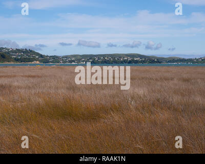 Pauatahanui Wildlife Reserve landscape with coastal wetlands, grassy ...
