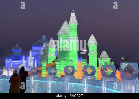 Harbin, China's Heilongjiang Province. 3rd Jan, 2024. A citizen takes ...