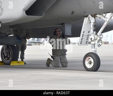 Maintainers from the 142nd Maintenance Group, prepare the F-15 Eagle ...