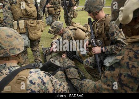 U.S. Navy Corpsmen with Combat Logistics Battalion 31, 31st Marine ...