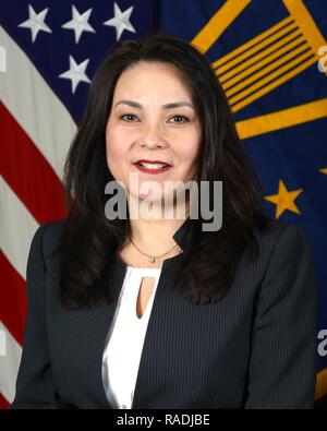 The Department of Defense Comptroller poses for an official portrait at ...