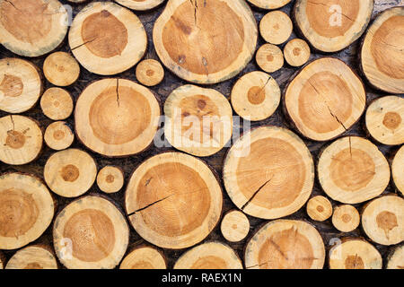 wooden background made of cutted round wood secrions Stock Photo - Alamy
