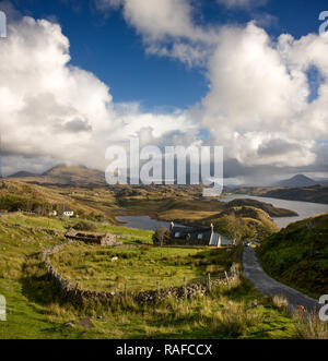 Forest scenic in Sutherland Scotland UK Stock Photo - Alamy
